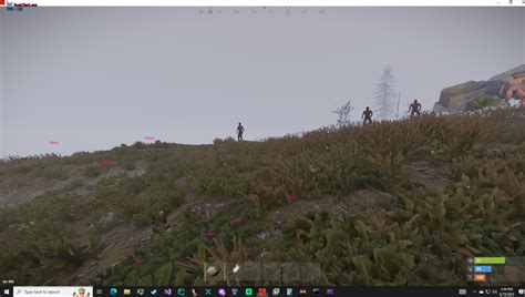 Coding Rust Reversal Structs And Offsets Page 614