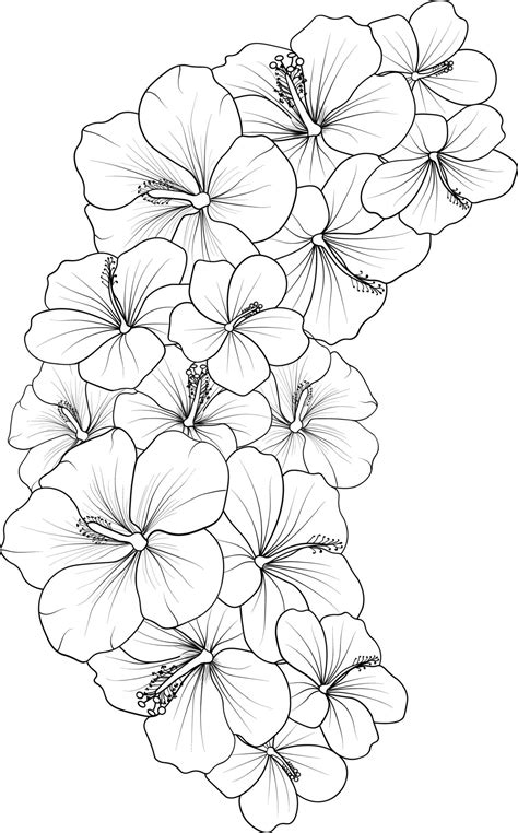 Dibujos De Hibiscos Para Colorear