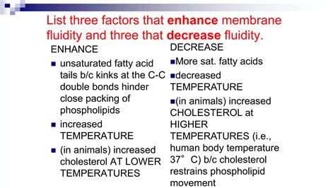 3 List Of Factors Affecting Membrane Fluiditypptx