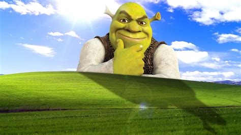 Wallpaper Meme Shrek Pictures Myweb