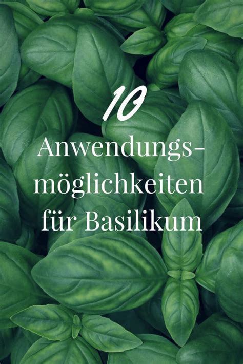 Basilikum 10 Anwendungsmöglichkeiten für das aromatische Kraut