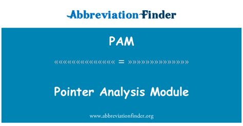 Pam Stands For Pointer Analysis Module Abbreviation Finder