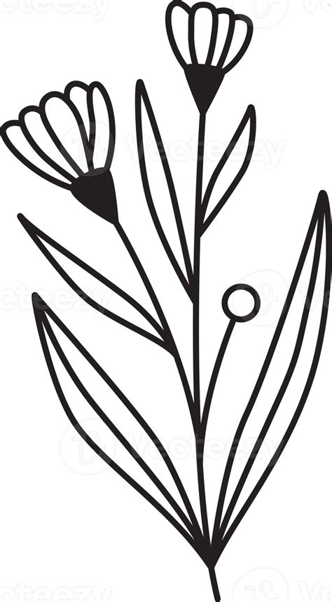 Free Hand Drawn Wild Flower Line Art Element Illustration 21444911 Png