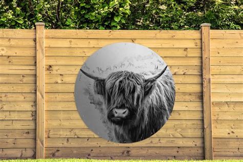 Tuincirkel Schotse Hooglander Koe Wit 150x150 Cm Ronde