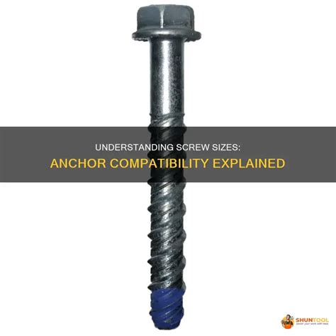 Understanding Screw Sizes Anchor Compatibility Explained Shuntool