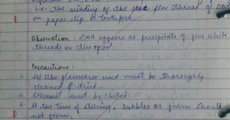 Biology Preparation On Line Dna Extraction From Banana