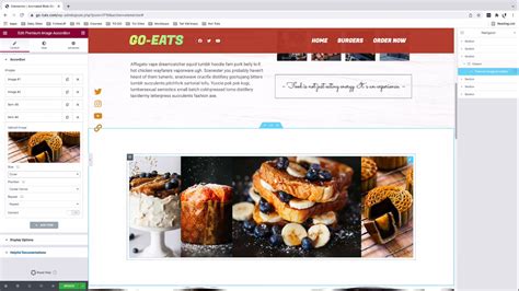 Ways To Create An Elementor Image Accordion With Premium Addons