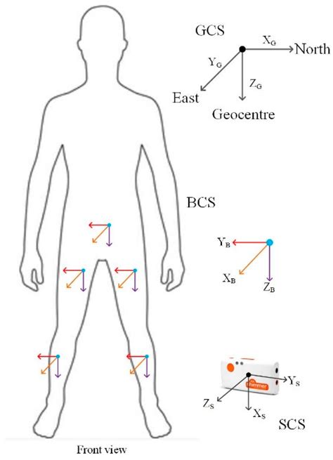 Prediction Of Joint Angles Based On Human Lower Limb Surface Electromyography