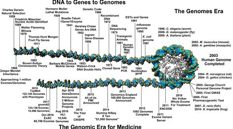 Gene Therapy Timeline