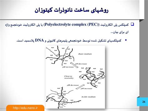 نانو پلیمرهای زیست تخریب پذیر کیتوزان سیستمی دارو رسان Ppt κατέβασμα