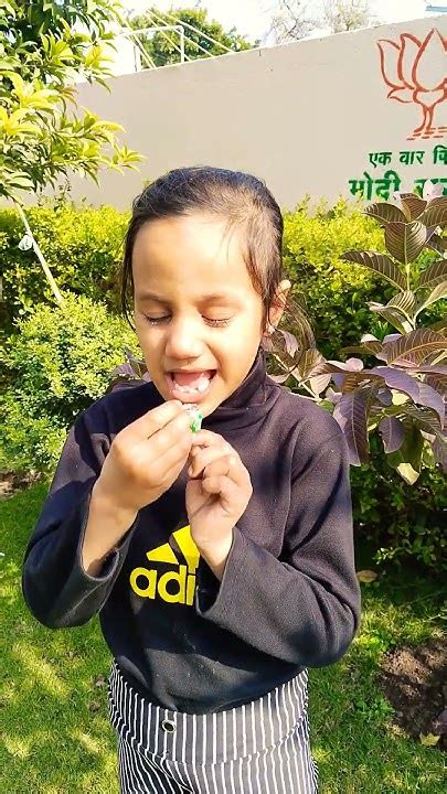 Lollipop 🧐😁🤪😜😃😅🤣 Shortsvideo Youtube
