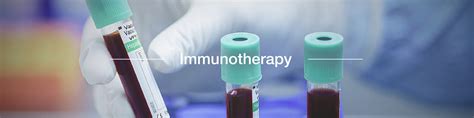 Immunotherapy Nk Biocell