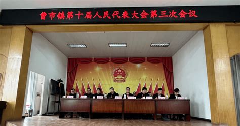 争先创位抓机遇 踔厉奋发向未来｜曹市镇第十届人民代表大会第三次会议召开项目年度民生