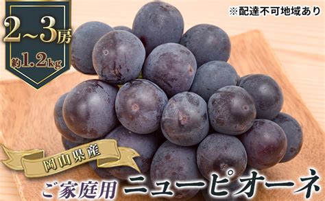 ご家庭用 岡山県産 ニューピオーネ 2～3房（約12kg）【配達不可：離島】 岡山県瀬戸内市 セゾンのふるさと納税