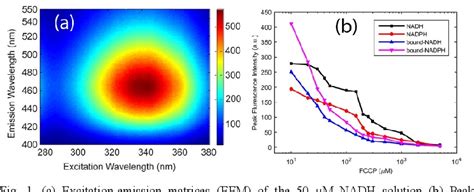Figure 1 From Fluorescence Quenching Of Free And Bound Nadh In Hela Cells Determined By