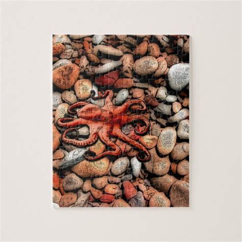 Octopus Pebbles Jigsaw Puzzle