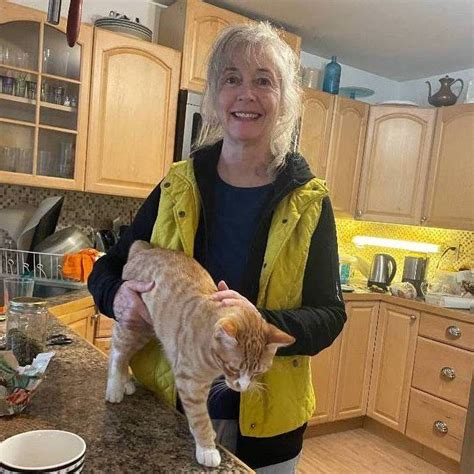 Kim House Sitter Home Buddy For Your Furry Friend