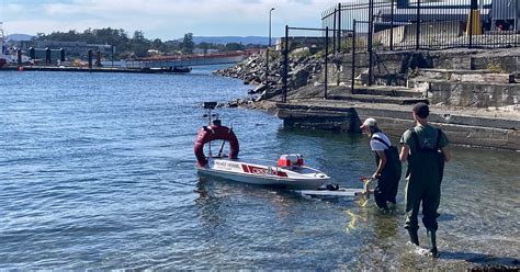 Asl And Open Ocean Robotics To Collaborate On Air Sea Ocean Monitoring System Project Ocean