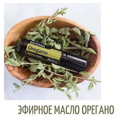 Эфирное масло Орегано природный антибиотик | Doterra эфирные масла ...