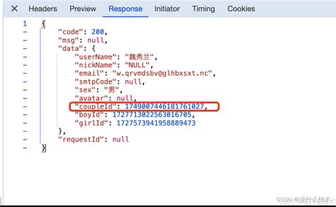 特殊字符 大整数引发的精度危机：前后端long类型精度丢失的救赎指南web项目雪花算法id返回前端超长 Csdn博客