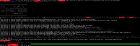 Error On Trying To Launch Openvidu Server With Recording Capabilities