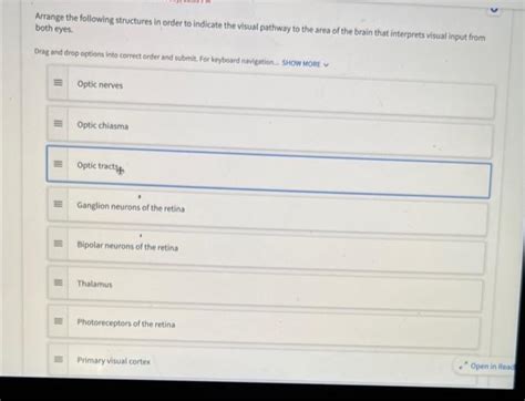 Solved Arrange the following structures in order to indicate | Chegg.com