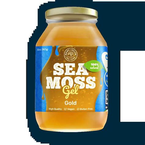 Gold Sea Moss Gel 32oz Saint Lucian Sea Moss