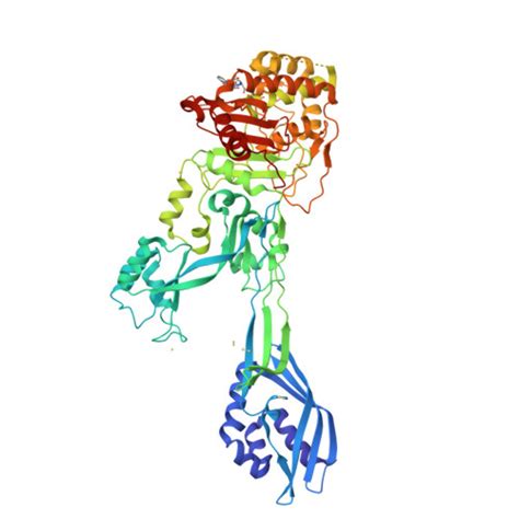Rcsb Pdb 6h5o Crystal Structure Of Pbp2a From Mrsa In Complex With