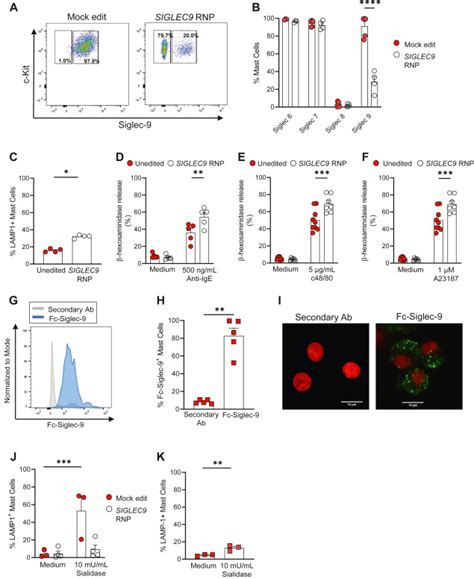 Siglec 9 Is An Inhibitory Receptor On Human Mast Cells In Vitro