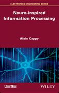 Index Neuro Inspired Information Processing Book