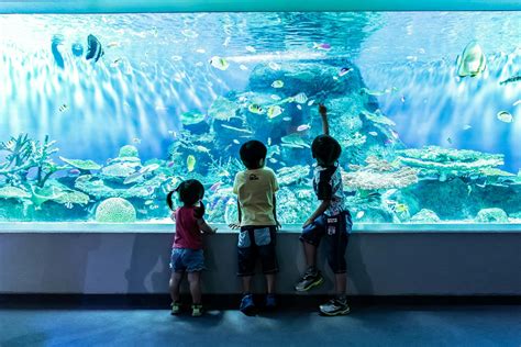 しながわ水族館の口コミ ｜free Wifiがあります。｜アソビュー！