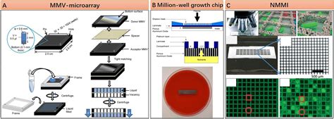 Frontiers Emerging Microfluidic Technologies For Microbiome Research