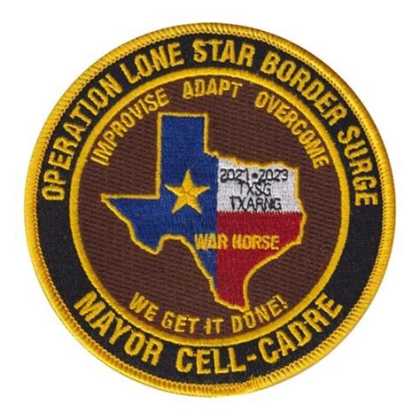 Recently Patches Like Those Pictured Texas State Guard
