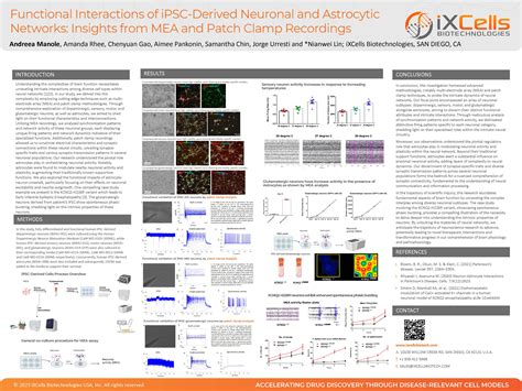 Functional Interactions Of Ipsc Derived Neuronal And Astrocytic Networks Ixcells