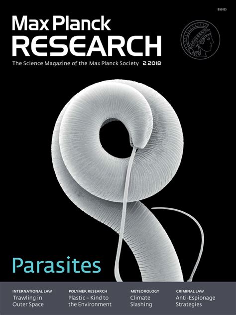 Scientific Illustrations