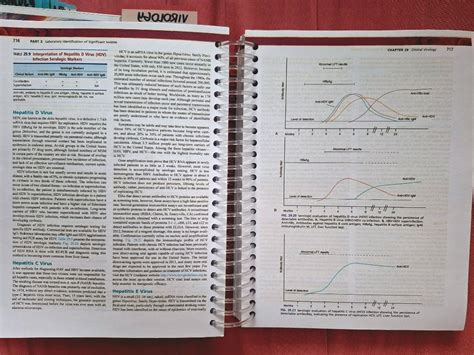 Diagnostic Microbiology By Mahon 6th Ed Hobbies And Toys Books
