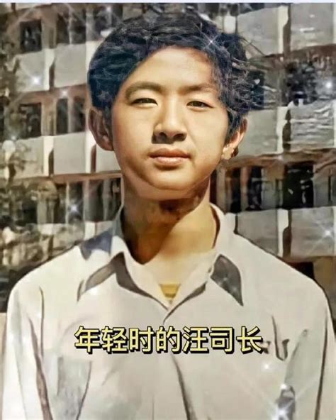 汪文斌您今天帥成了大明星黃軒 每日頭條