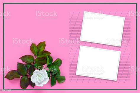 분홍색 종이 배경에 흰색 장미와 녹색 단풍의 아름다운 꽃다발 창조적 인 인사말 카드 0명에 대한 스톡 사진 및 기타 이미지 0명 3월 개념 Istock