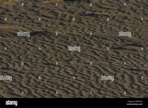 Staggering Hi Res Stock Photography And Images Alamy