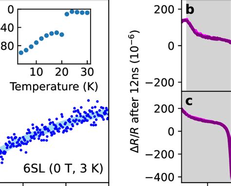 Magnetic State Dependence Of Time Resolved Reflectivity The