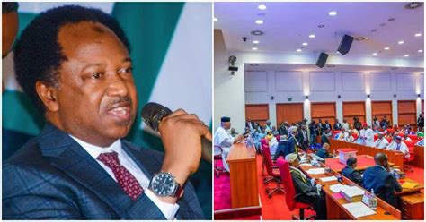 Shehu Sani Sends Important Message To Senate After Tinubu Reveals Plan