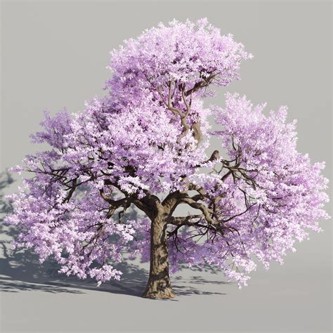 Cherry Blossom Tree Vol 199 Blender 3dmodel 3d Model Turbosquid 2173393