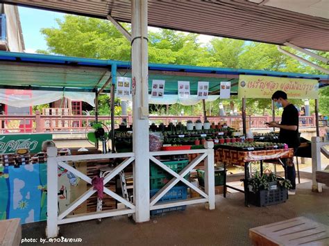 ตลาดต้องชม ตลาดน้ําบางคล้า