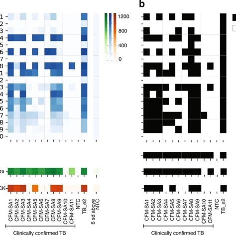 Experimental And Computational Workflow Of Watson A Schematic Of Download Scientific Diagram