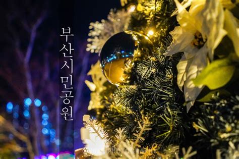부산시민공원 빛축제 부산 겨울 가볼만한 곳 크리스마스 트리 네이버 블로그