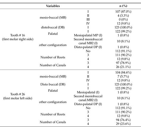 Table 2 From Evaluation Of Root Canal Configuration Of Maxillary And