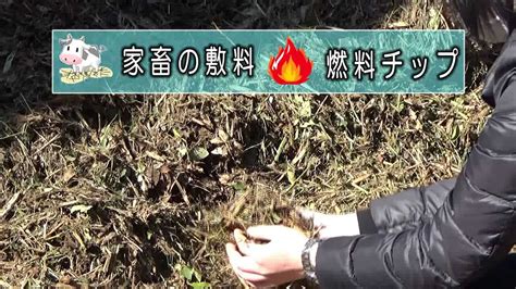 千葉市 木の枝刈り草葉の資源収集リサイクル編 YouTube