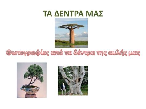 τα δεντρα μας