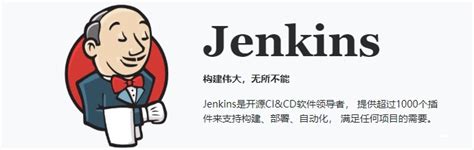 jenkins 插件目录 Jenkins 安装 CSDN博客